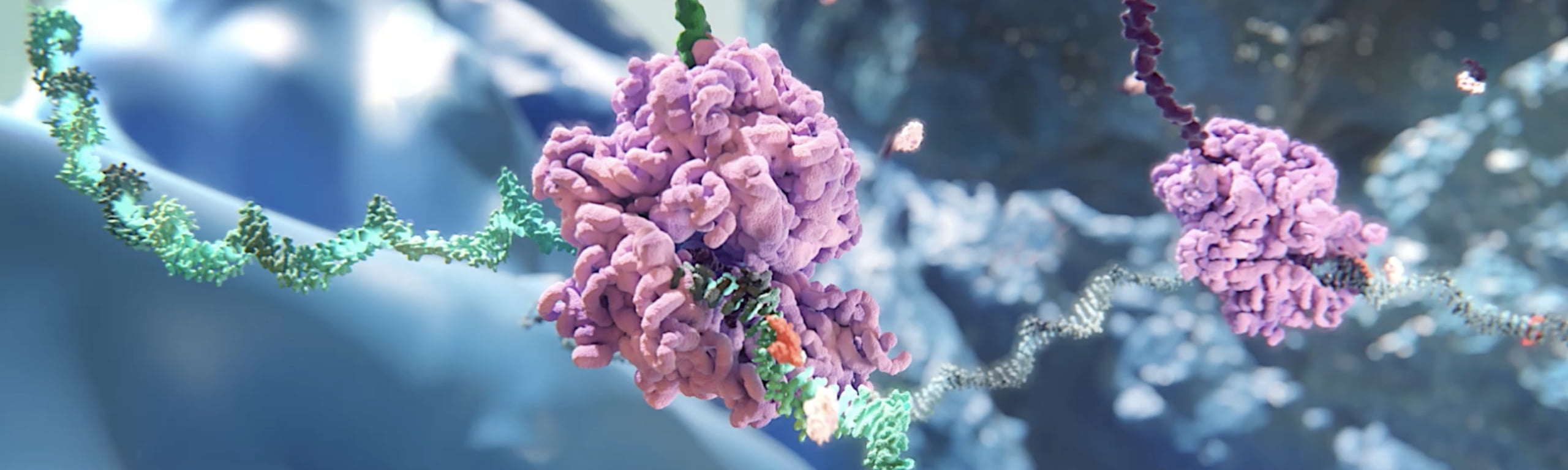 How RNAi Works | Alnylam® Pharmaceuticals