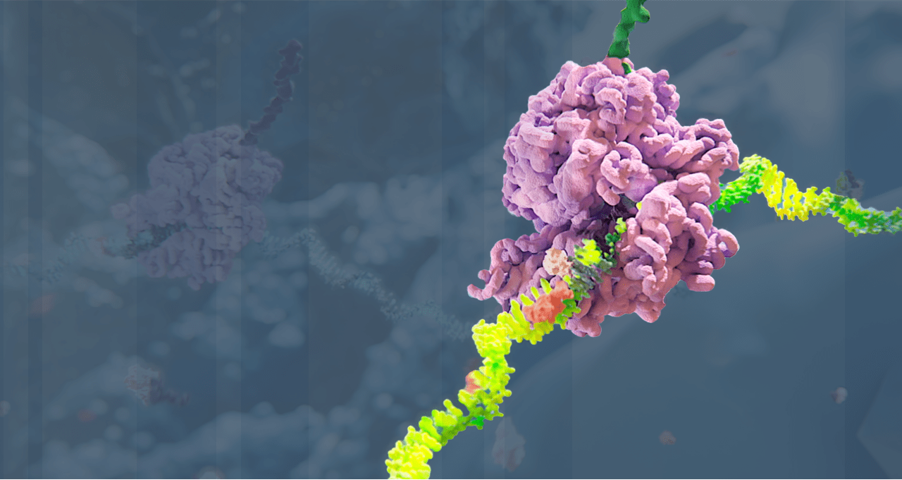 Alnylam® Pharmaceuticals